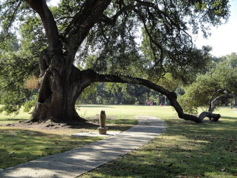 New Orleans: 2-Hour 15-Minute City and Cemetery Tour by Bus - An Honest Look at the Experience