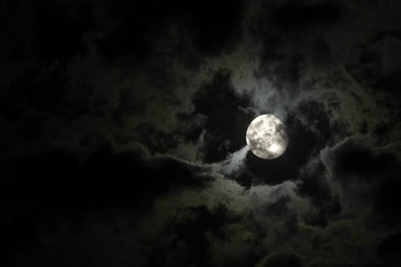New Orleans: 2-Hour Paranormal Investigation Tour - The Experience in Detail: What You Can Expect