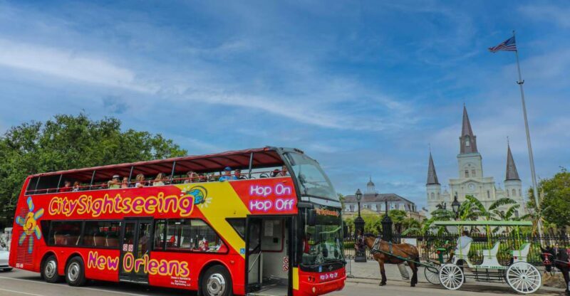 New Orleans: 2 or 3 Day Hop-On Hop-Off Bus with Walking Tour - The Sum Up: Who Will Love This Experience?