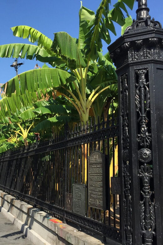 New Orleans: 45 Minutes in Jackson Square - Discovering the Heart of New Orleans: Jackson Square’s Unique Charm