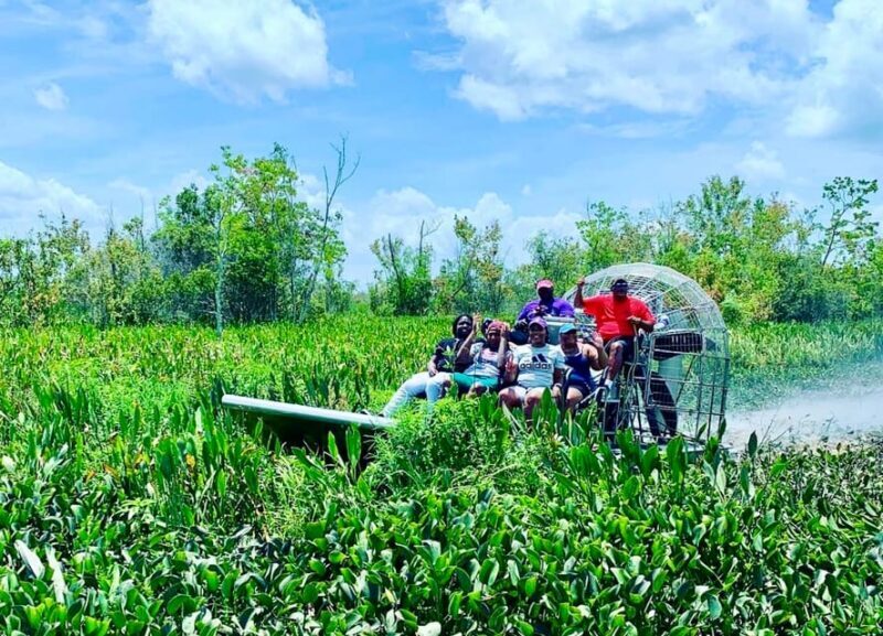 New Orleans: 6 Passenger Premium Airboat Swamp Tour - Who Will Love This Tour?