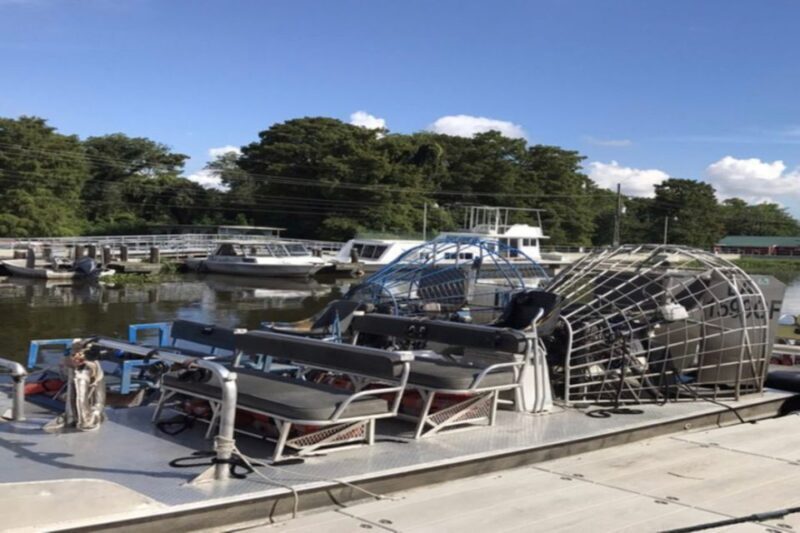 New Orleans: Airboat or Pontoon Boat Cruise with Transfers - Key Points