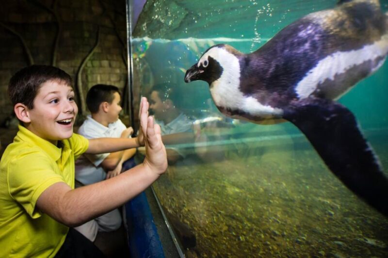 New Orleans: Audubon Aquarium & Insectarium Ticket - What’s Not Included