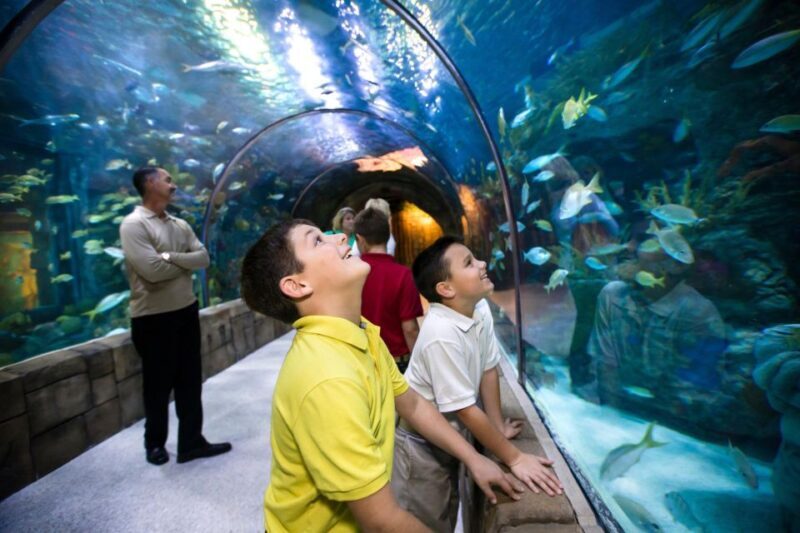 New Orleans: Audubon Aquarium & Insectarium Ticket - Reviews and Real Traveler Insights