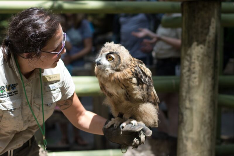 New Orleans: Audubon Zoo Ticket and Combination Option - Introduction
