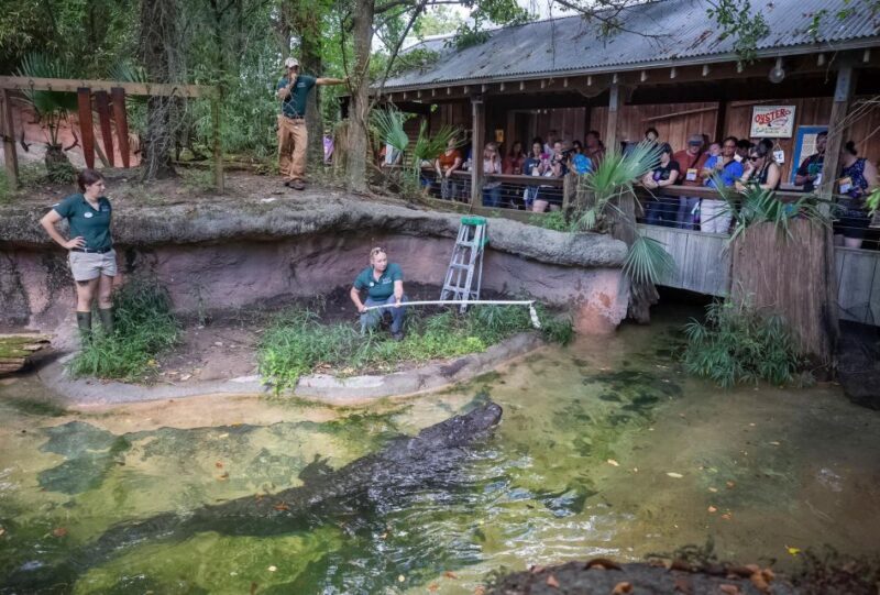 New Orleans: Audubon Zoo Ticket and Combination Option - Practical Details: Pricing, Duration, and Accessibility