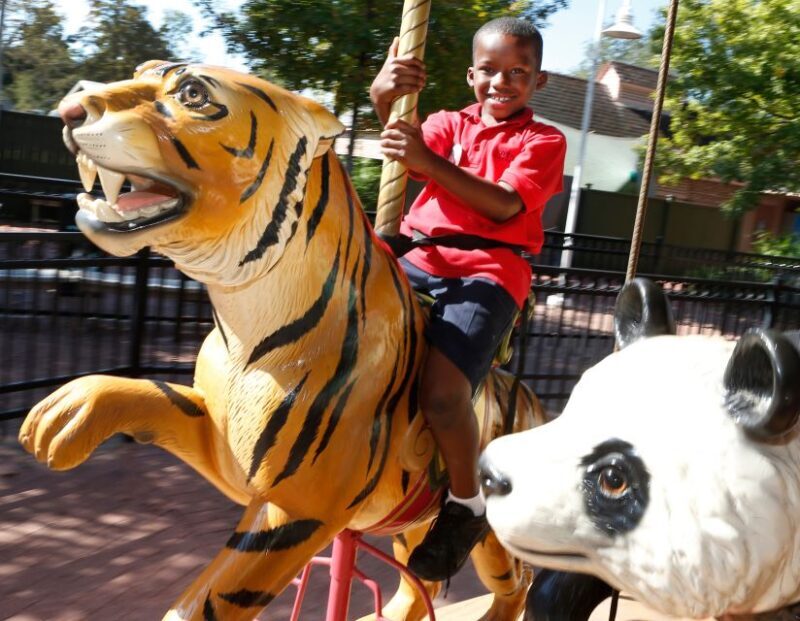 New Orleans: Audubon Zoo Ticket and Combination Option - Authentic Visitor Experiences
