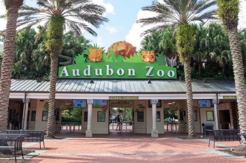 New Orleans: Audubon Zoo Ticket and Combination Option - The Sum Up