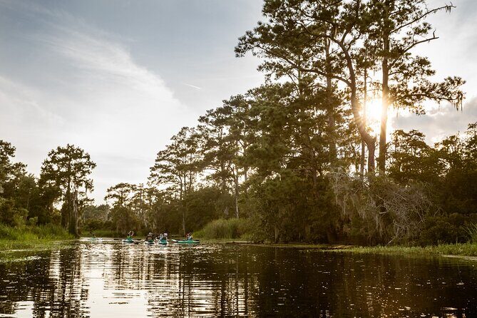 New Orleans Bayou Adventure: Kayak Rental - Key Points