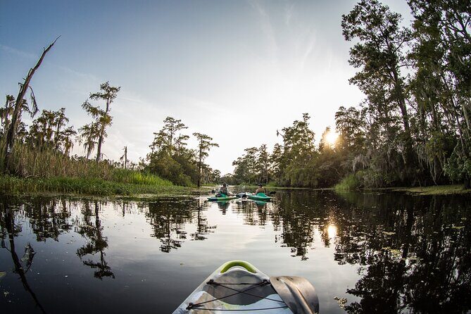 New Orleans Bayou Adventure: Kayak Rental - Who Should Consider This Experience?