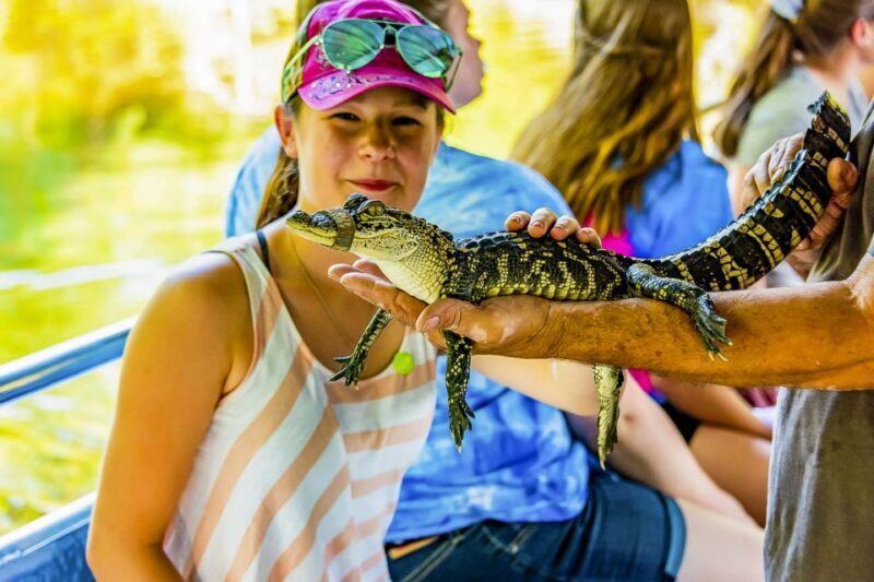New Orleans: Bayou Swamp Tour and Oak Alley Plantation Tour - Who Will Love This Tour?