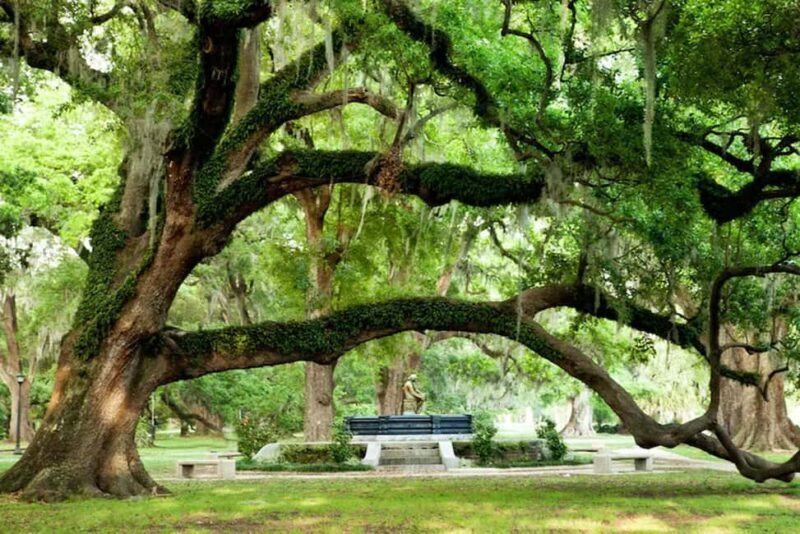 New Orleans: City & Cemetery Tour + Garden District Stroll - FAQ