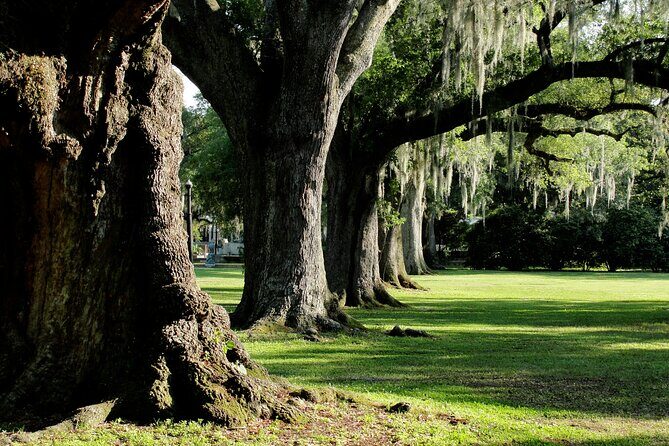 New Orleans: City Park Exploration Game and Tour - Who Should Consider This Tour?