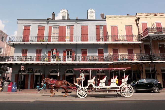 New Orleans City Sightseeing Hop-On Hop-Off Bus Tour - The Overview: An Easy Way to See the City