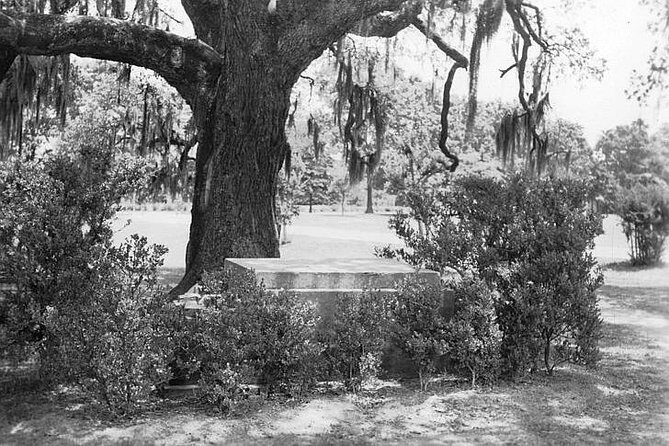 New Orleans Dead of Night Ghosts and Cemetery Bus Tour - Practical Details & Tips