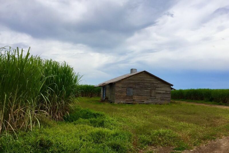 New Orleans: Destrehan Plantation & Airboat Combo Tour - Overall Value and Practical Tips