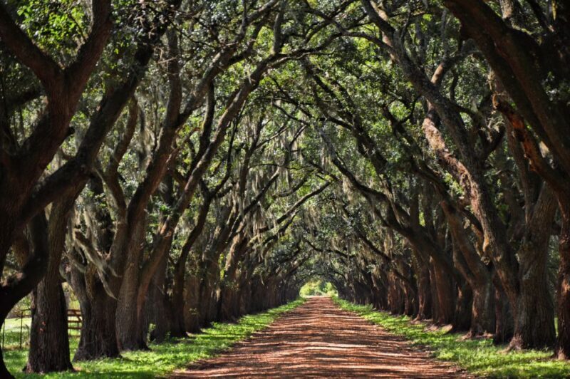 New Orleans: Destrehan Plantation, Houmas House & Lunch - FAQ