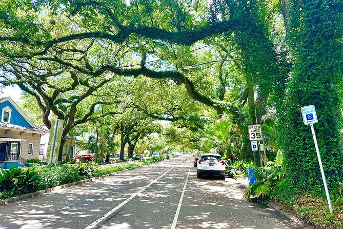 New Orleans Driving Tour of Bayou St. John, City Park, Treme etc - Practical Details and Value