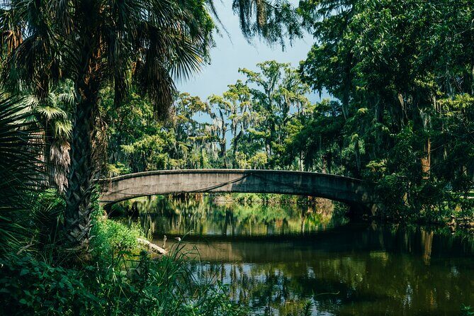 New Orleans Favorites and Creole Culture VIP Tour - The Sum Up: Who Will Love This Tour?