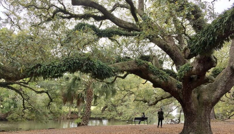 New Orleans Favorites: Beyond the French Quarter Tour - Unique and Personal Touches