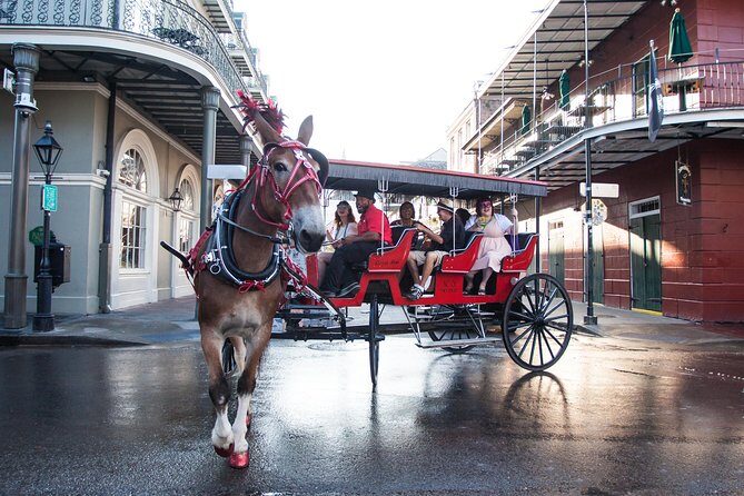 New Orleans French Quarter and More Carriage Ride - An In-Depth Look at the French Quarter & Marigny Carriage Tour