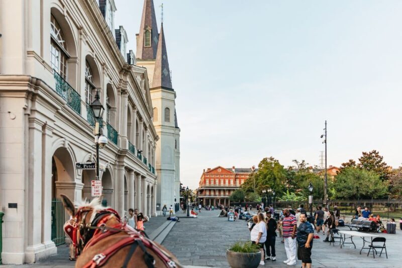 New Orleans: French Quarter Sightseeing Carriage Ride - A Closer Look at the French Quarter Carriage Ride