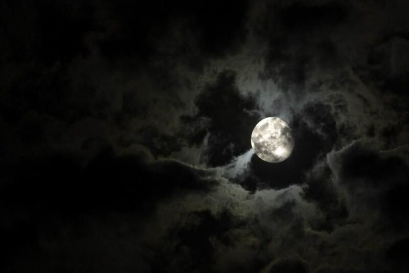 New Orleans Haunted Excursion Walking Tour - Why Consider This Tour?