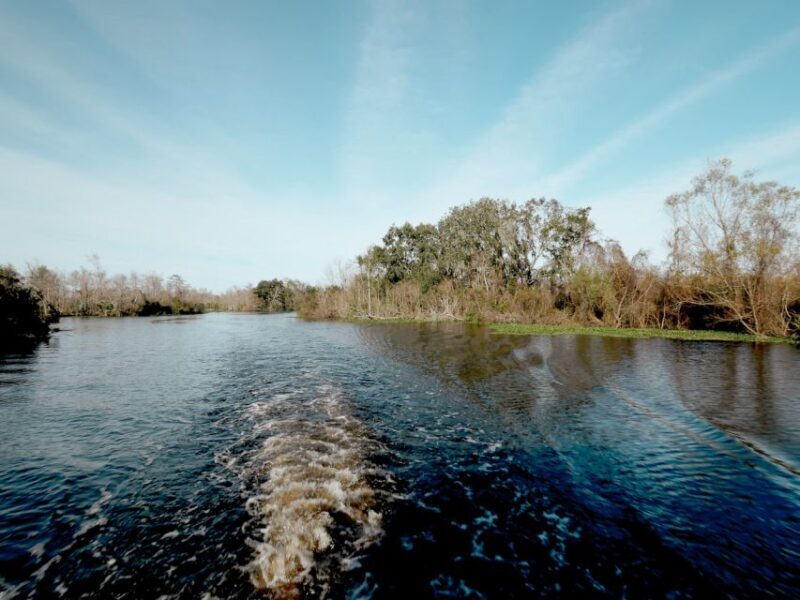 New Orleans: High Speed 16 Passenger Airboat Ride - What Do the Reviews Say?