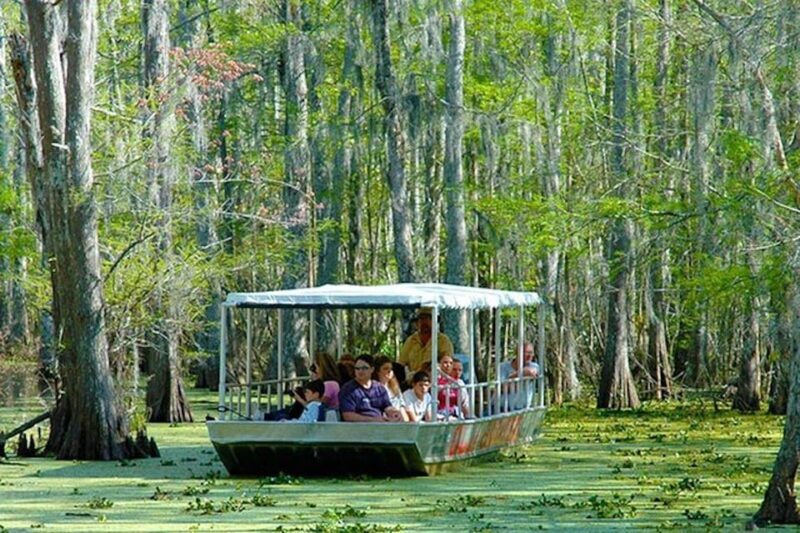New Orleans: Honey Island Swamp and Bayou Boat Tour - FAQ: Your Practical Questions Answered