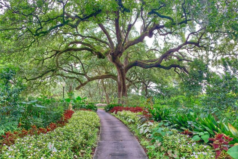 New Orleans: Houmas House Plantation Tour - What Previous Visitors Say