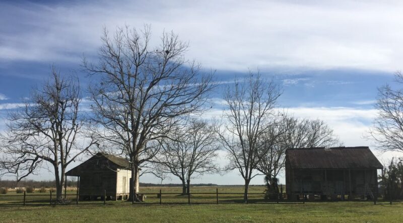 New Orleans: Laura Creole Plantation Guided Tour - Key Points