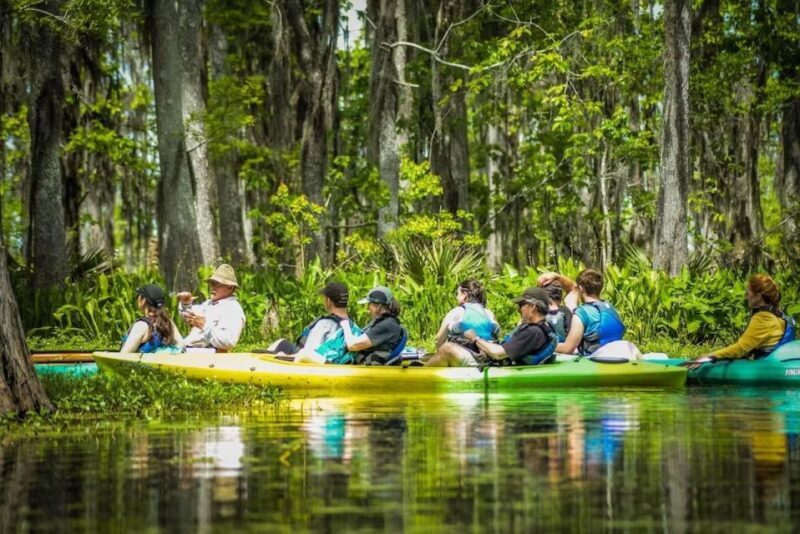 New Orleans: Manchac Magic Kayak Swamp Tour - A Deep Dive Into the Manchac Magic Kayak Swamp Tour
