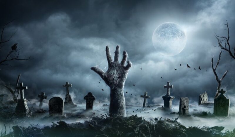 New Orleans: Night Cemetery and Ghost BYOB Bus Tour - Key Points