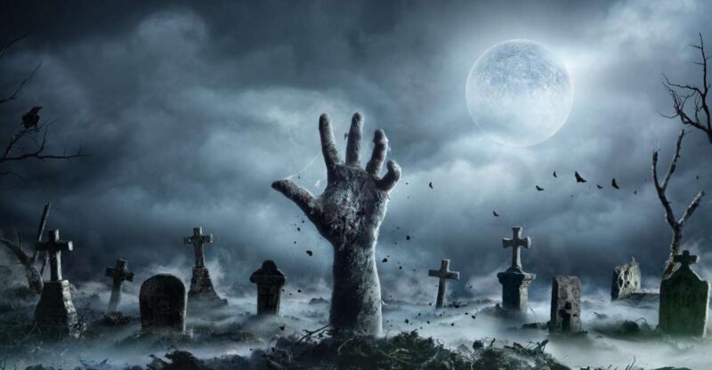 New Orleans: Night Cemetery and Ghost BYOB Bus Tour - The Transportation and Group Size