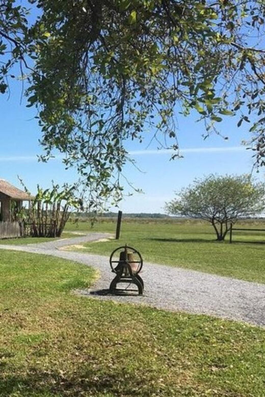 New Orleans: Oak Alley & Laura Plantation Tour w/Transport - Exploring Louisiana’s Plantations: An Honest Look at the Oak Alley & Laura Plantation Tour
