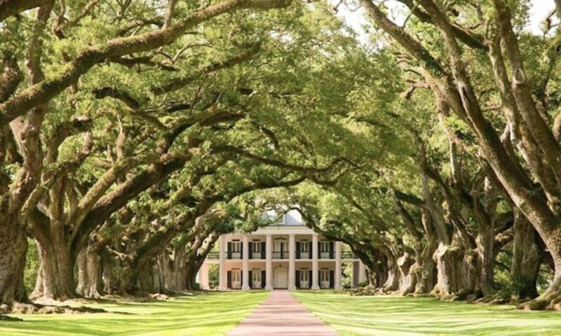 New Orleans: Oak Alley or Laura Plantation & Airboat Tour - Final Thoughts
