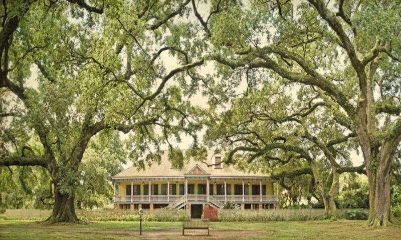 New Orleans: Oak Alley or Laura Plantation & Airboat Tour - FAQ