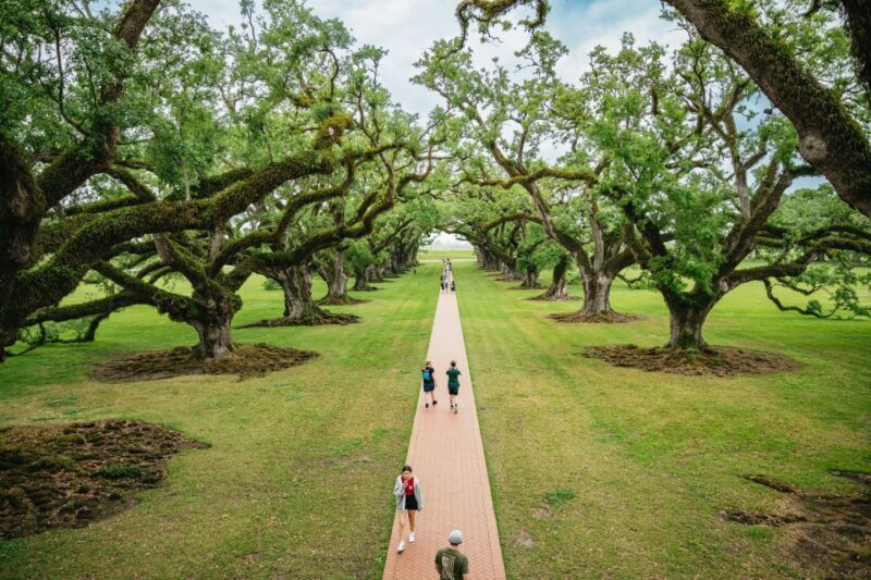 New Orleans: Oak Alley Plantation and Swamp Cruise Day Trip - The Sum Up: Who Should Consider This Tour?