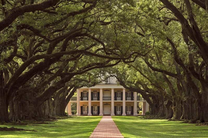 New Orleans: Oak Alley Plantation Half Day Tour - The Final Word: Is It Worth It?