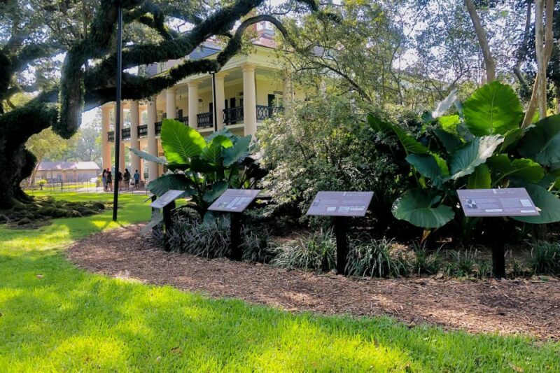 New Orleans: Oak Alley Plantation Tour with Transportation - Exploring the Grounds and Exhibits