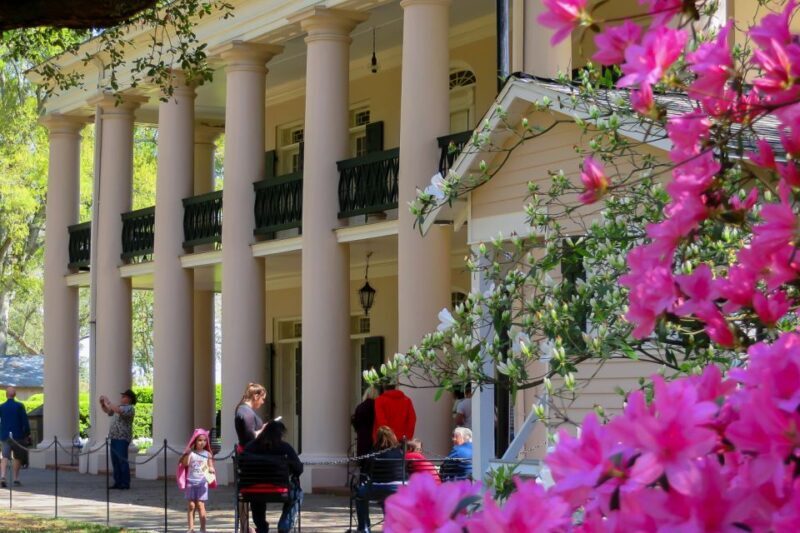 New Orleans: Oak Alley Plantation Tour with Transportation - Food and Refreshments