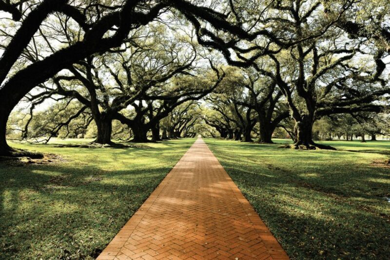 New Orleans: Single Plantation and Pontoon Swamp Day Trip - FAQ