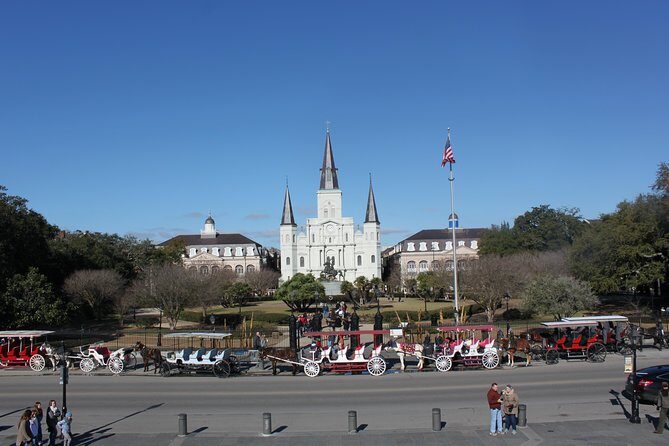 New Orleans Small-Group City and Cemetery Tour with Hotel Pickup - Authentic Feedback from Travelers