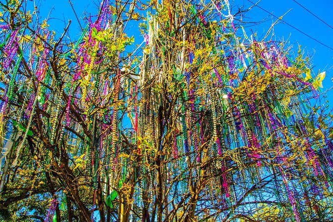 New Orleans Small-Group City Tour by Van - Final Thoughts