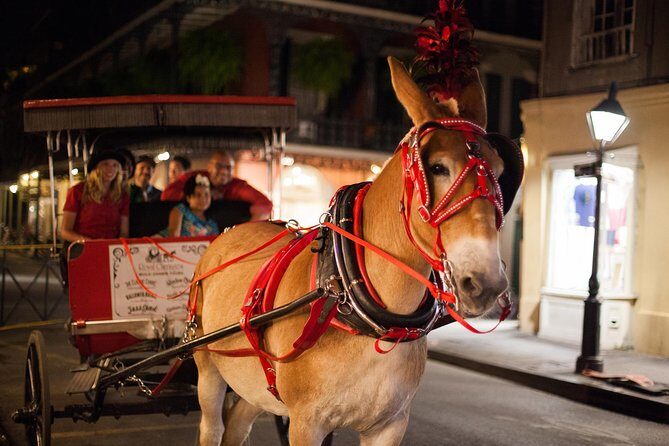 New Orleans Small-Group Haunted History Carriage Tour - What You Can Expect from the Haunted History Carriage Tour