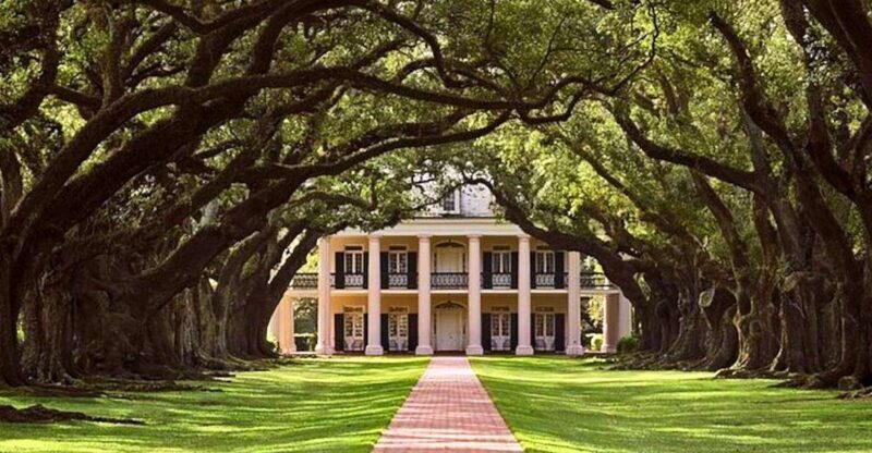 New Orleans: Swamp Boat Ride and Historic Plantation Tour - A Deep Dive Into What the Tour Offers