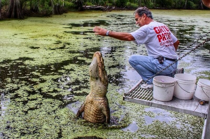 New Orleans: Swamp Boat Ride and Historic Plantation Tour - FAQ
