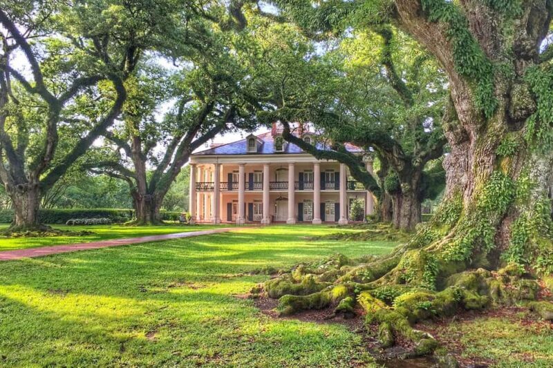 New Orleans: Swamp Boat Ride & Oak Alley Plantation Tour - Introduction: What’s the Experience Like?