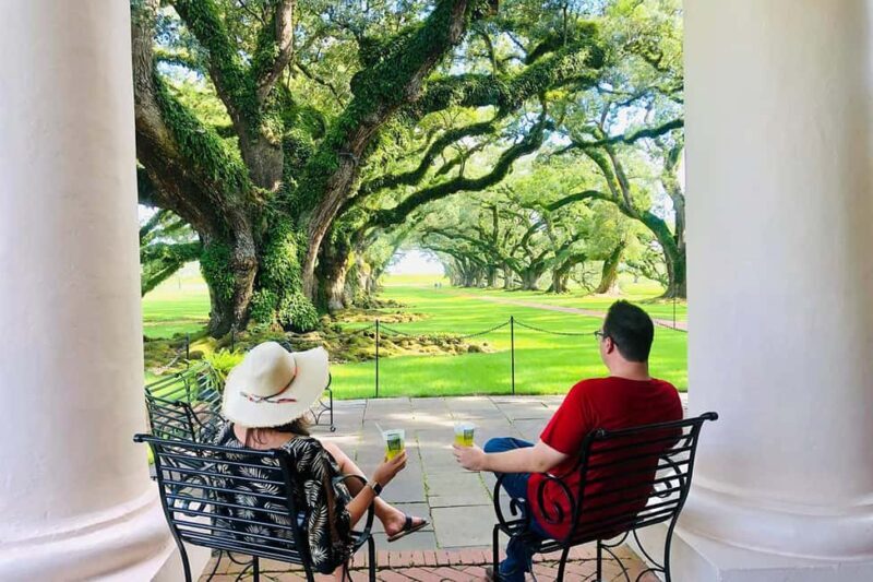 New Orleans: Swamp Boat Ride & Oak Alley Plantation Tour - Authentic Visitor Perspectives
