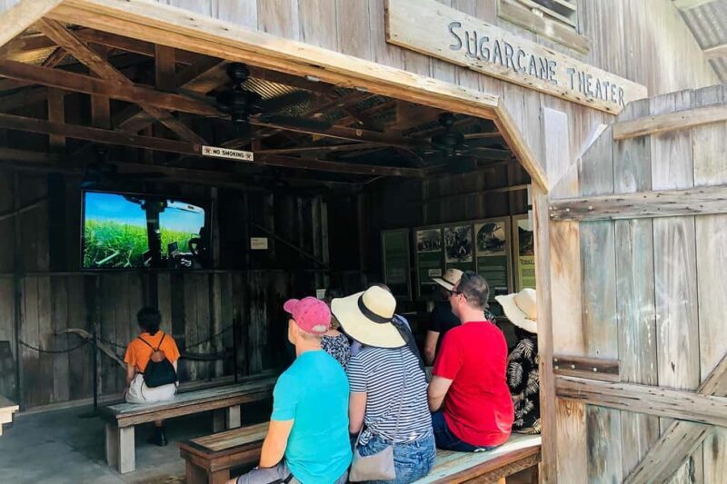 New Orleans: Swamp Boat Ride & Oak Alley Plantation Tour - Final Thoughts: Who Should Consider This Tour?